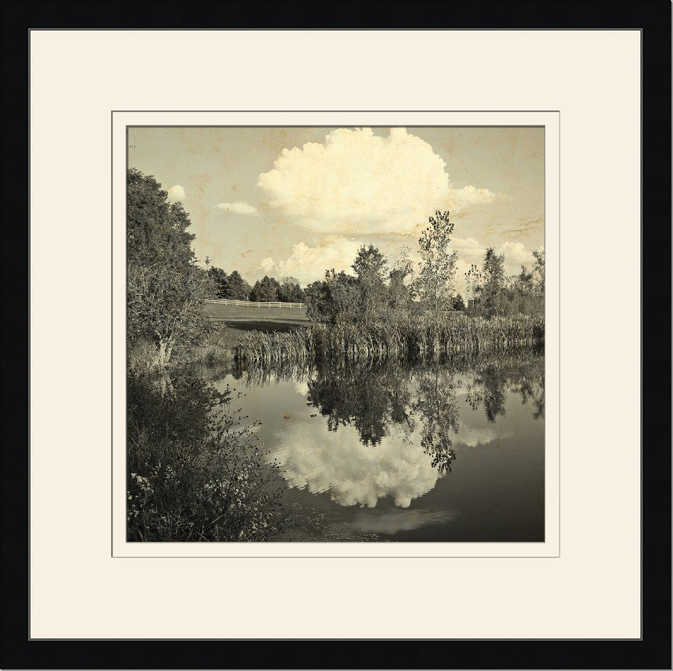 Wendover Art Group Pond Reflections III - Picture Frame Photograph | Wayfair